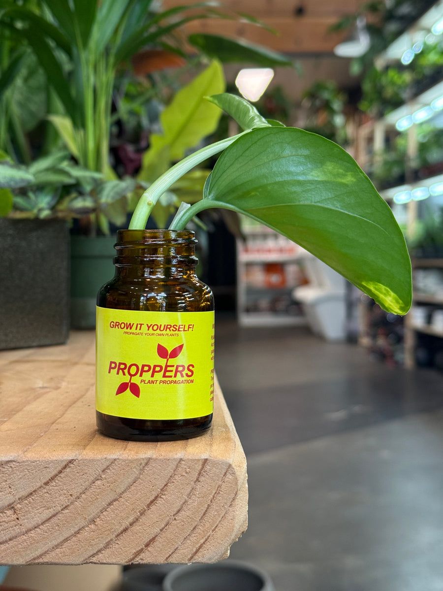 Proppers Propagation Vessel with Plant Food – The Plant Store