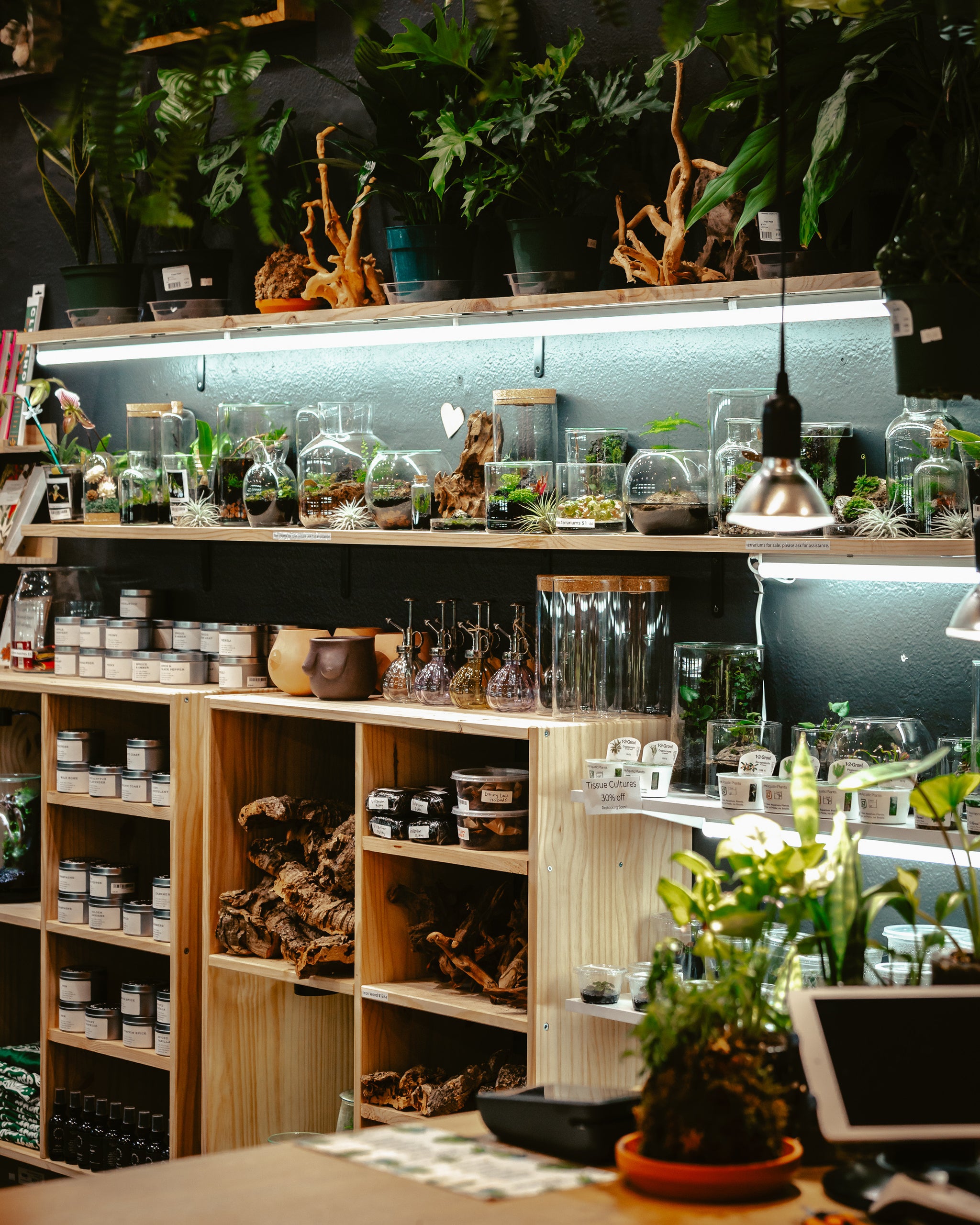 The Plant Store